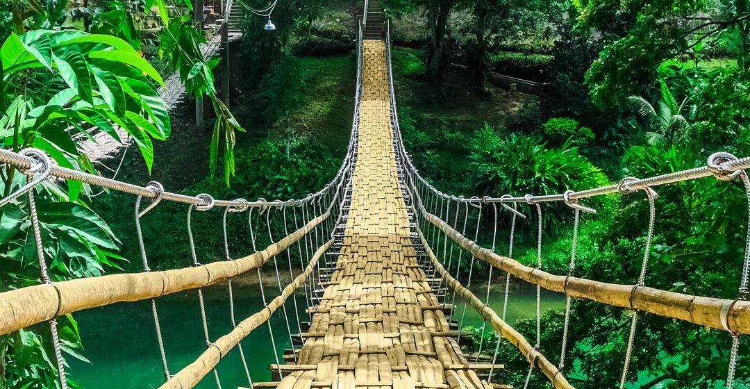 Joyful Jungle Design Challenge | Spoonflower